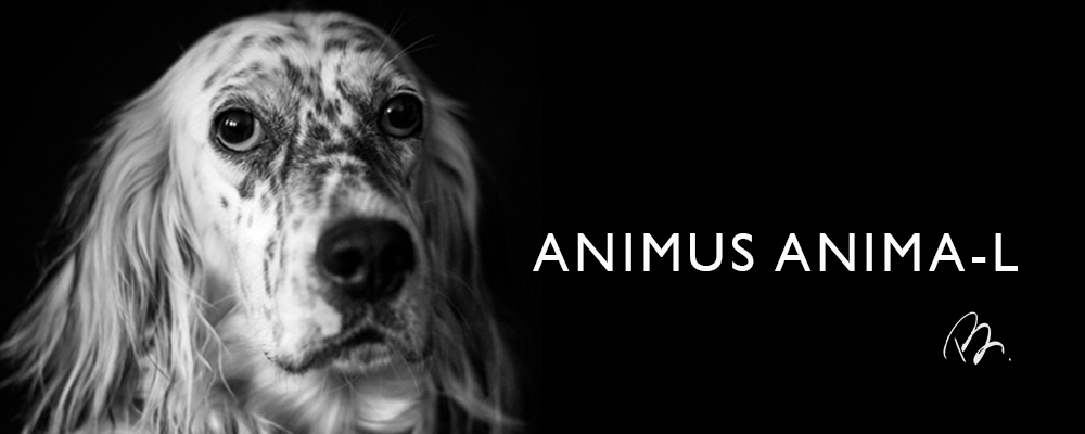 ANIMUS ANIMA-L